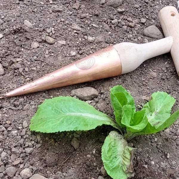 Svarog Dibber | Made from Copper - The Natural Gardener
