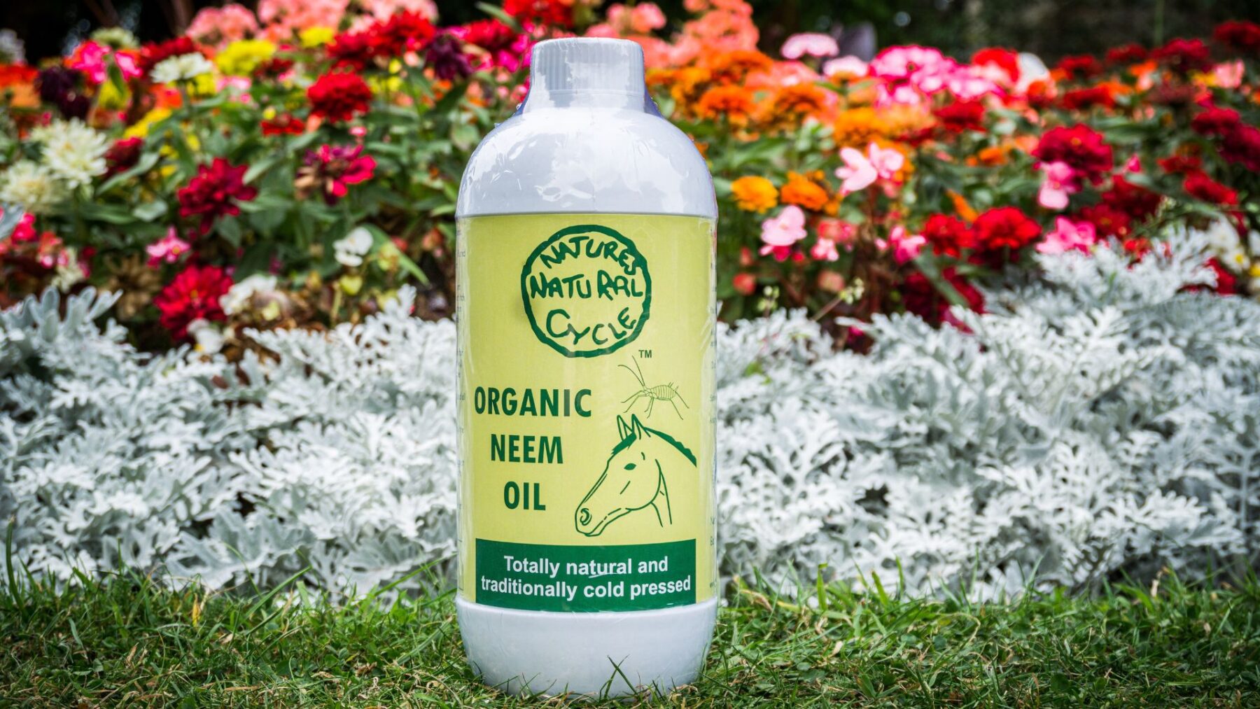 What is Neem Oil? The Super-Extract Every Gardener Needs - The Natural ...