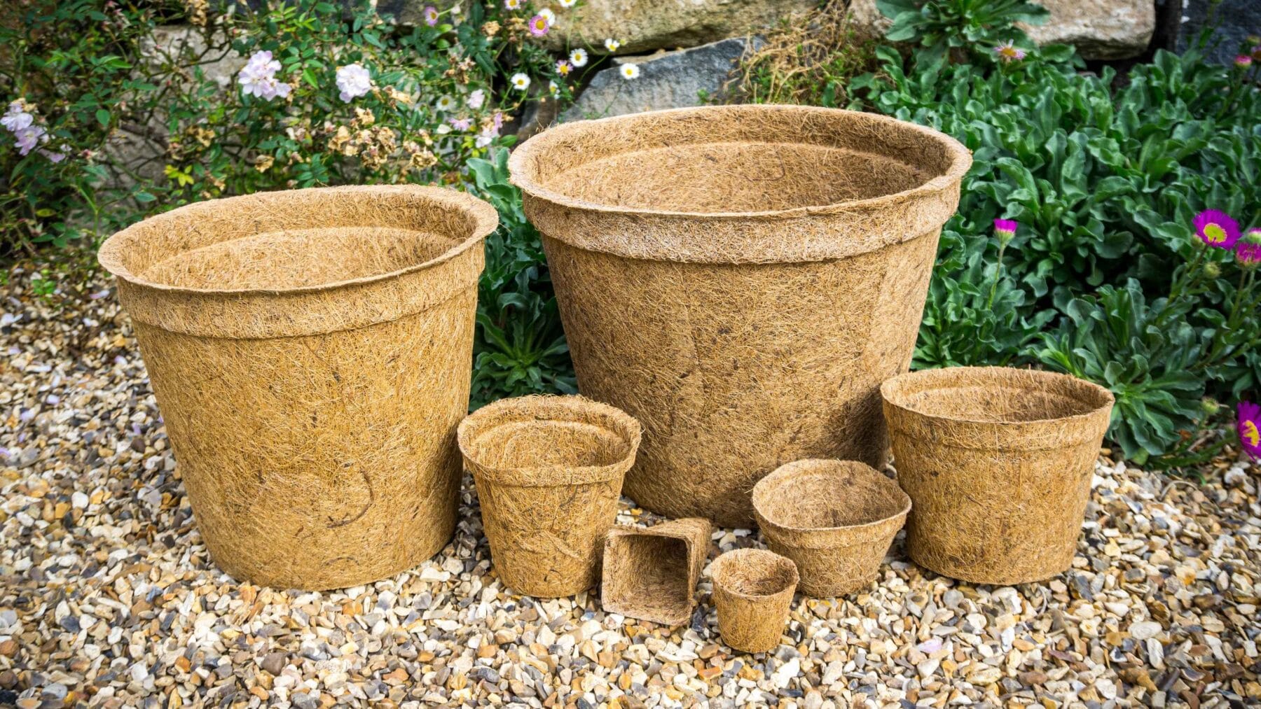 What is a Coir Pot? Plastic-Free Planting - The Natural Gardener