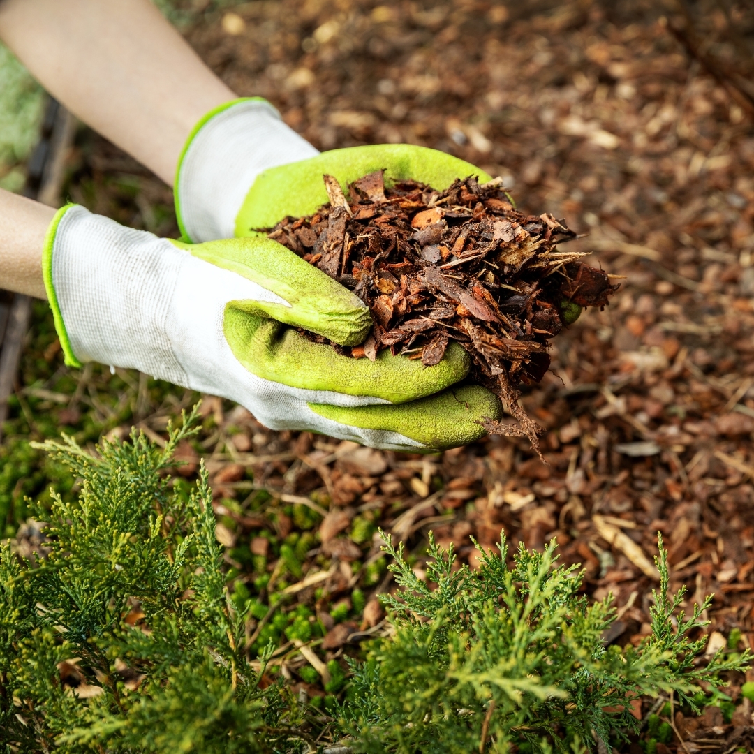 No Dig Gardening: A Complete Guide - The Natural Gardener
